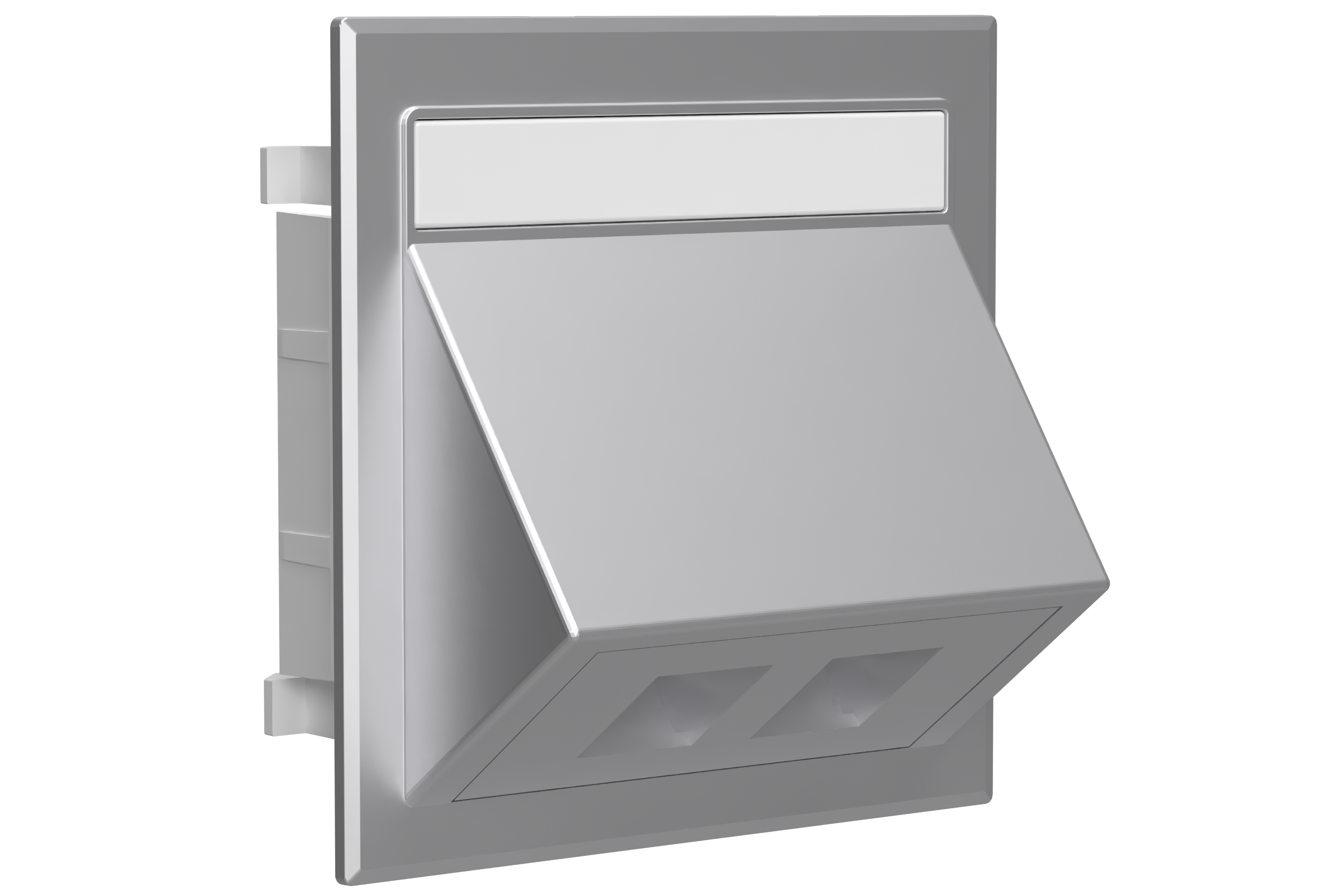 Data angled RJ45 Keystone silver | Wibe group